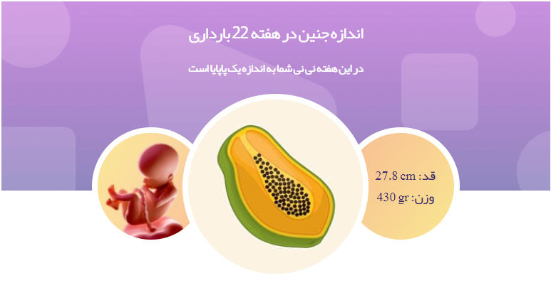 راهنمای کامل ماه پنجم بارداری نکات مهم در ماه پنجم بارداری